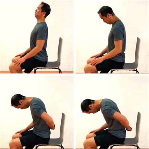 4 Exercises To Keep Your Spine Healthy Precision Movement