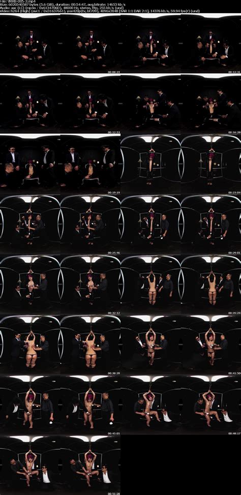 Filejoker Exclusive Vrrb 005 【vr】 Natsu Tojo Nagisa Mitsuki Fukada