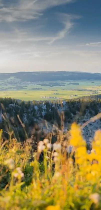 Sunny Field Landscape Wallpaper Free Download