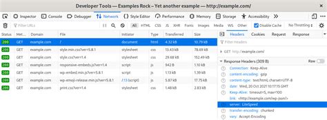 How To Check If Your Website Is Hosted On A LiteSpeed Server Catalyst