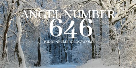 Angel Number 646 Numerology Meaning