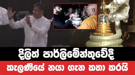 දිලිත් පාර්ලිමේන්තුවේදී කැලණියේ නයා ගැන කතා කරයි Sl Breakingnews Youtube