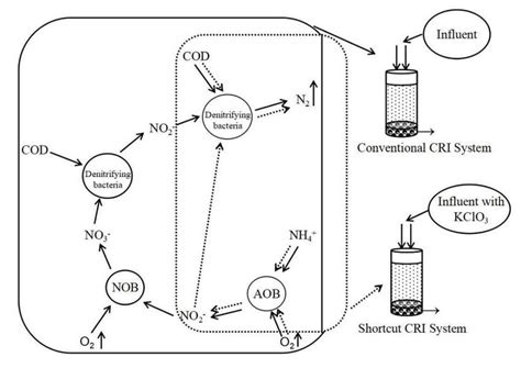 Comparison Of Full Nitrification Denitrification Process And Shortcut Download Scientific