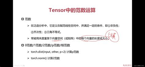 Tensor中范数运算同维度tensor相加 值不对 Csdn博客