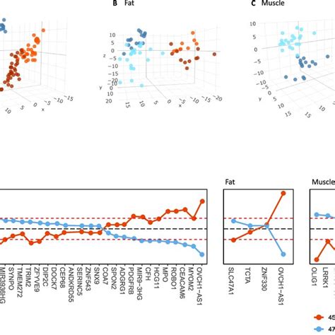 X Chromosomal Rna Expression Unsupervised Clustering Of X Chromosomal