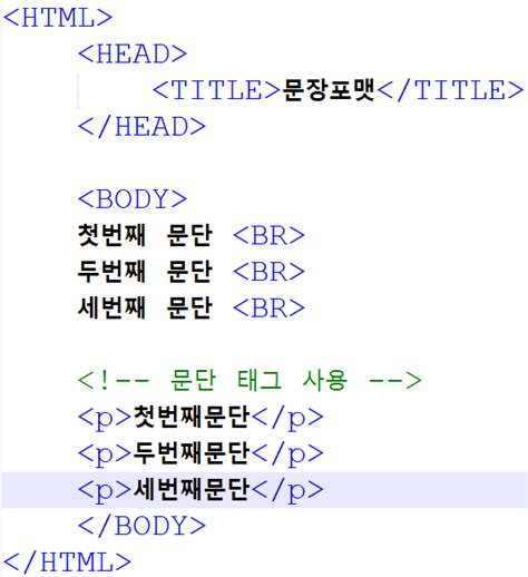 🐳 Html 태그 🐳