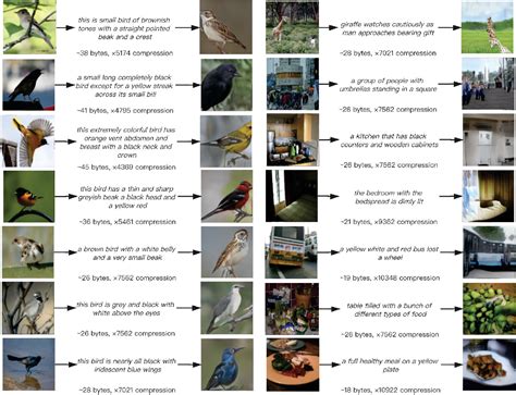 Cross Modal Compression Towards Human Comprehensible Semantic Compression