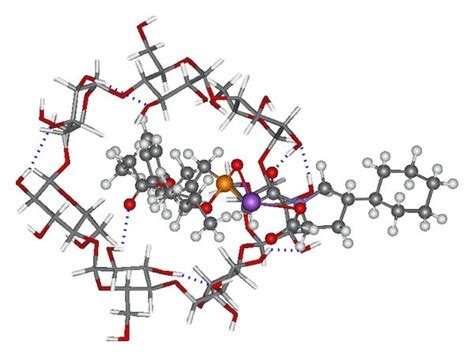 Structure Views Of The Fos β Cd Complexes With The Na Salt Form Of Download Scientific Diagram