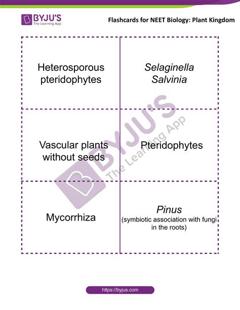 Plant Kingdom Flashcards For Neet Biology