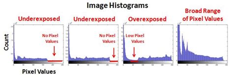 Advanced Imaging Analysis Activity 4 High Dynamic Range Imaging