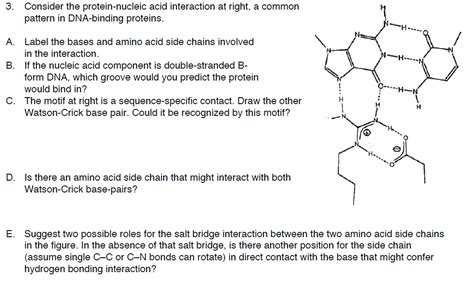 Solved Consider The Protein Nucleic Acid Interaction At