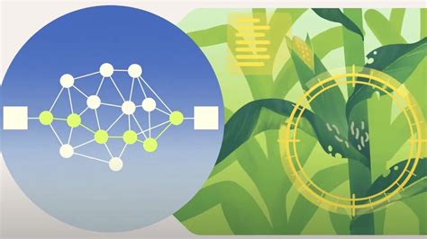 Agrio Artificial Intelligence For Integrated Pest Management