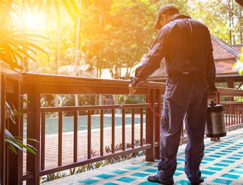 Monthly Pest Control Subscription Plans Preventive