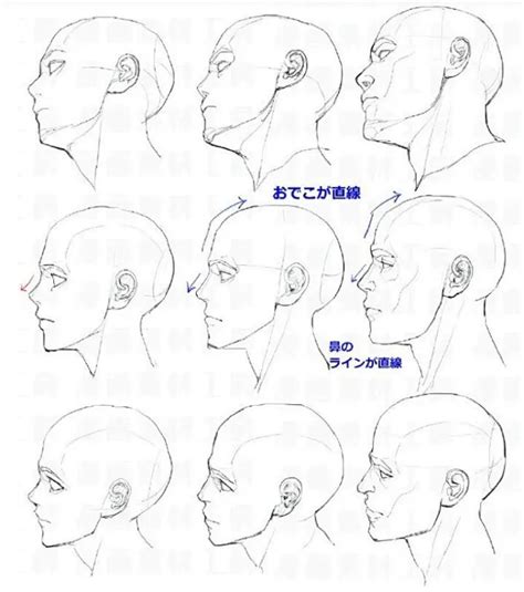 动漫动画创作人物头像多角度多视角参考学习资 漫品狗 Mg动画短片素材 Flash源文件 动漫矢量图免费素材网 花瓣网