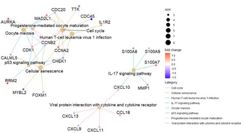 R语言kegg信号通路富集分析（enrichplot、ggplot2、pathview绘图） 知乎