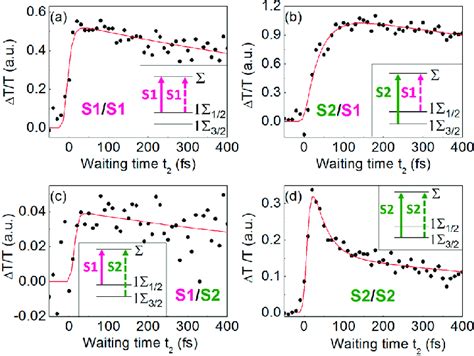 Experimental Data Black Points And Fit Red Line Of The Δt T Signal