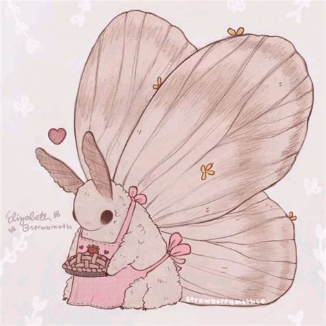 370 Mofs Ideas In 2025 Cute Moth Moth Beautiful Bugs