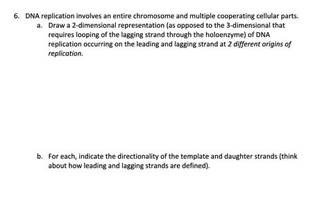 Solved DNA Replication Involves An Entire Chromosome And Chegg
