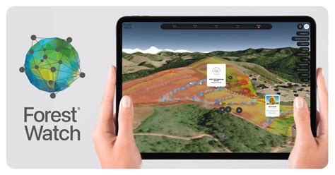 Forest Watch A One Stop Shop Solution For Monitoring Traceability And Compliance Of Forestry