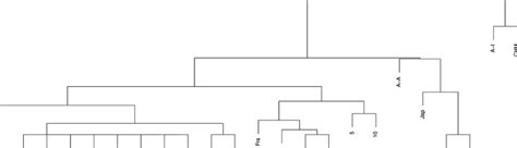 cluster dendrogram obtained using euclidean distance measure and r 4d 3
