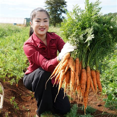 Romulo Tejeros Caballero
