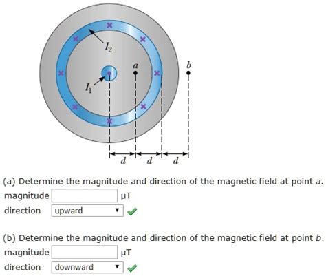 Solved A Determine The Magnitude And Direction Of The Magnetic Field