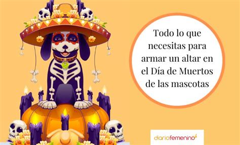 Pasos Y Ofrendas Para Hacer Un Altar En El Día De Muertos De Mascotas