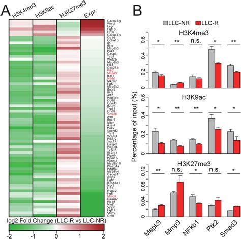 Profiling Analysis Of Histone Modifications And Gene Expression In Lewis Lung Carcinoma Murine