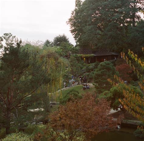 Sample Photos Album On Imgur