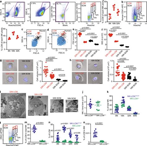 Sub Fractionation Of High Ploidy Large Cytoplasmic Mk Lcm And High Download Scientific