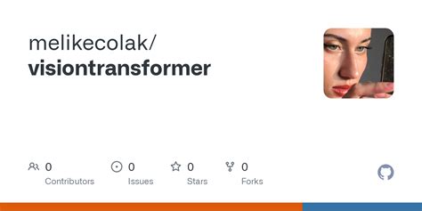 Github Melikecolak Visiontransformer