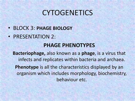 Phage Phenotypes Pdf