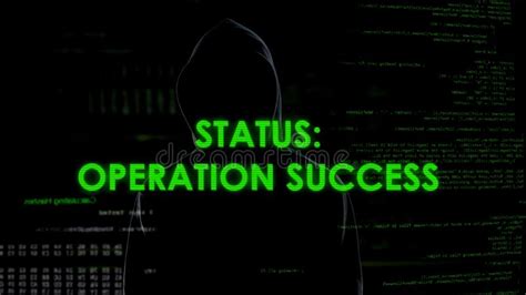 Access Granted On Screen Computer Criminal Hacking Website Successful Attempt Stock Image