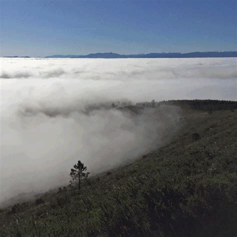 Luke Howard The Namer Of Clouds Cloud Appreciation Society