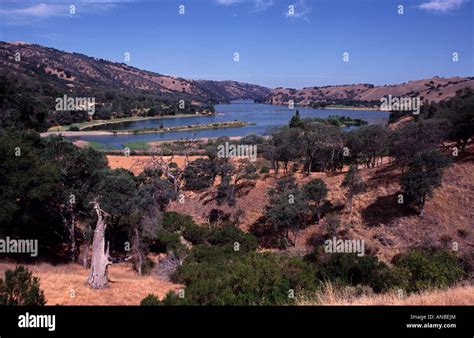 Lake Del Valle East Bay Regional Park Near Livermore California A Man