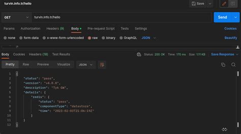 Tyk Gateway Outputs Support Tyk Api Management Community Forum