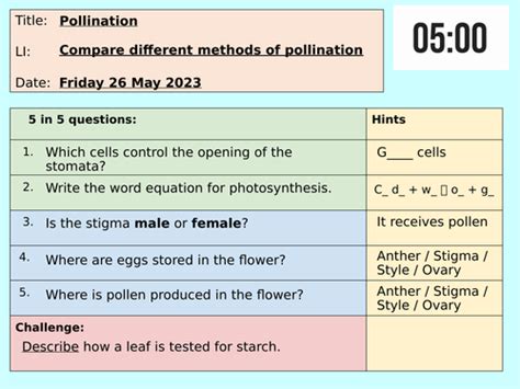 Ks3 Pollination Lesson Wind Vs Insect Teaching Resources