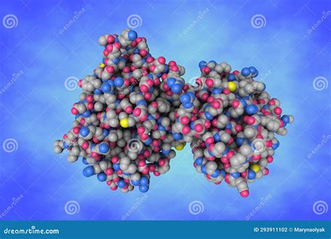 Human Progesterone Receptor Ligand Binding Domain Space Filling