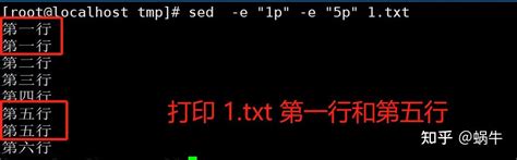Linux三剑客之sed 知乎