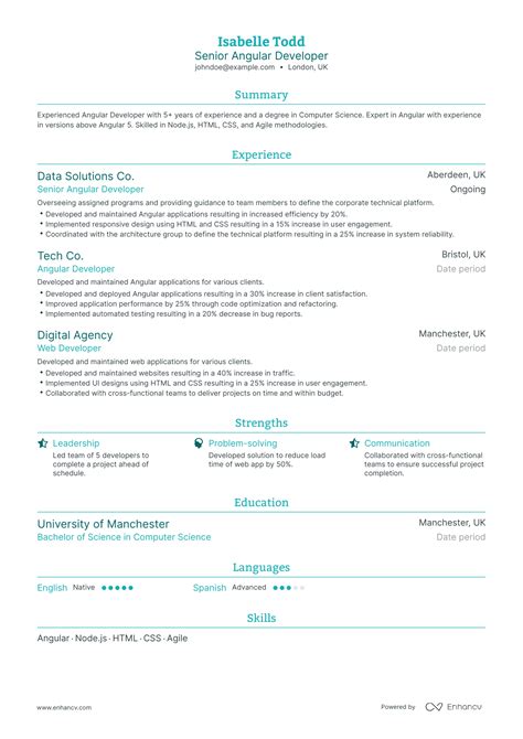 Angular Developer Resume Examples Guide For