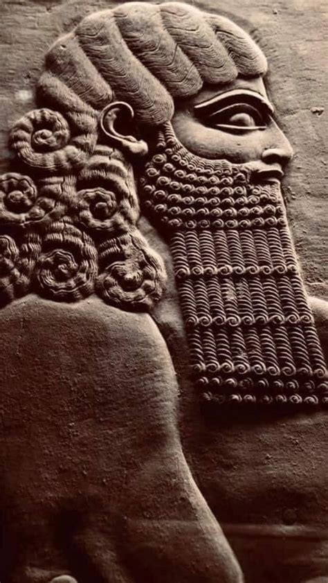 Phi Spirals Helical And Sinewaves Could It Be A Symbolic Meaning