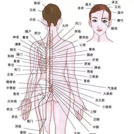 经络不通顺，先从那条经络开始疏通呢？五脏六腑新浪新闻