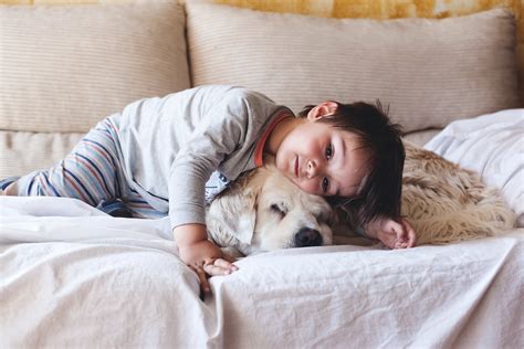 ¿las Mascotas Son Beneficiosas Para Los Niños ¡acá Te Dejamos 8