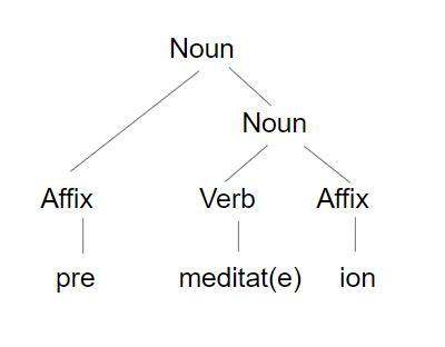 Solved Morphology Tree Diagrams This Is An Example Q Word Trees Course Hero