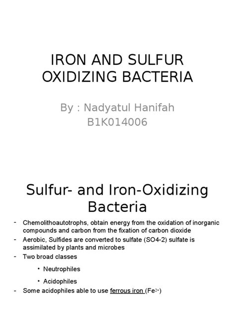 Iron And Sulfur Oxidizing Bacteria Download Free Pdf Chemistry