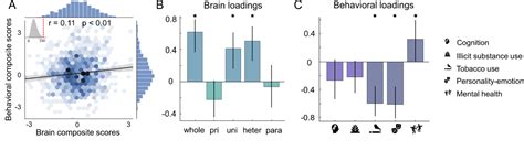 Figure 6 From Structural Insight Into The Individual Variability Architecture Of The Functional