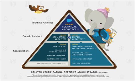 Salesforce Certifications Salesforce Knowledge Sfdc Medium