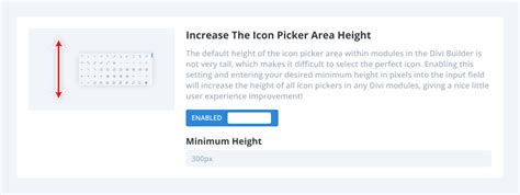 How To Increase The Height Of The Divi Theme Options Custom Css Editor