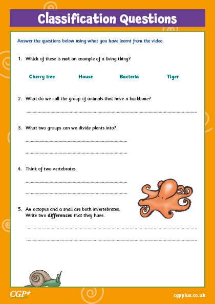 Classification — Questions Year 4 Cgp Plus