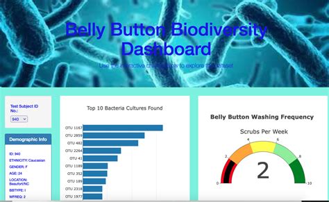 GitHub Kejtkjet Bio Plotly